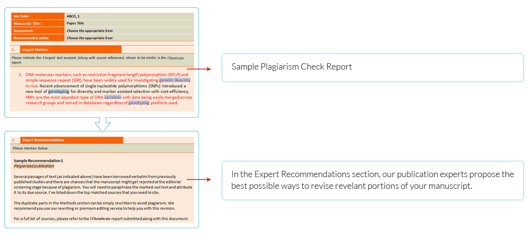 Plagiarism Check Service for Unintentional or Accidental Plagiarism ...